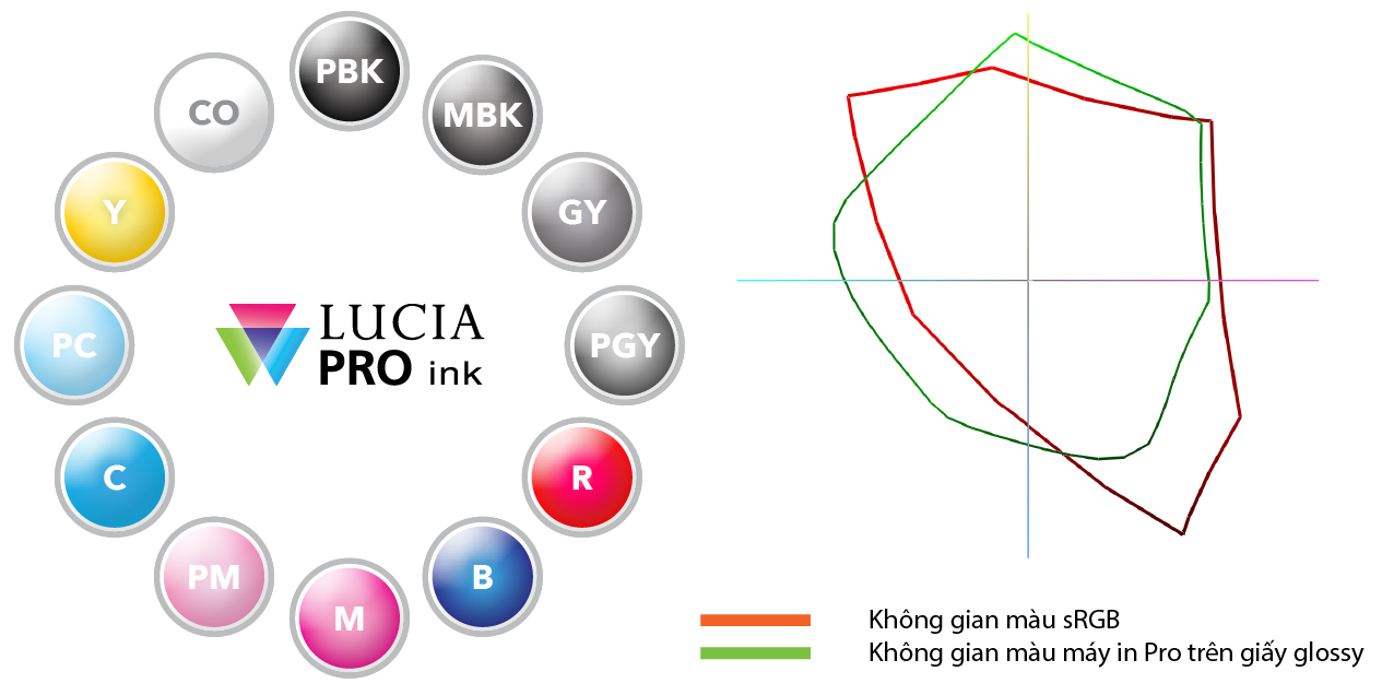 Canon PRO-521 - Sts Việt Nam